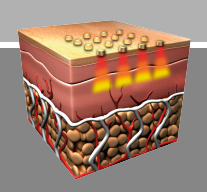 Fraxface Facial - Beneficios y Tratamiento | Dermatología y Estética